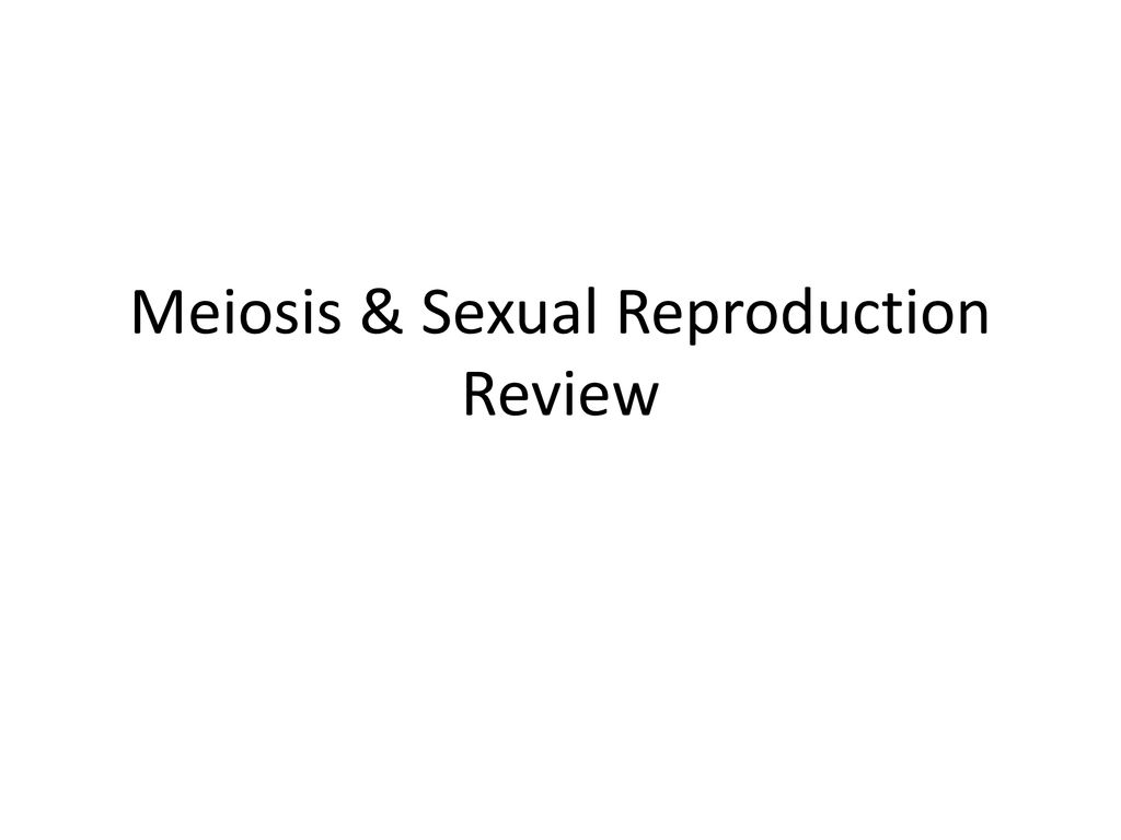 Meiosis And Sexual Reproduction Review Ppt Download
