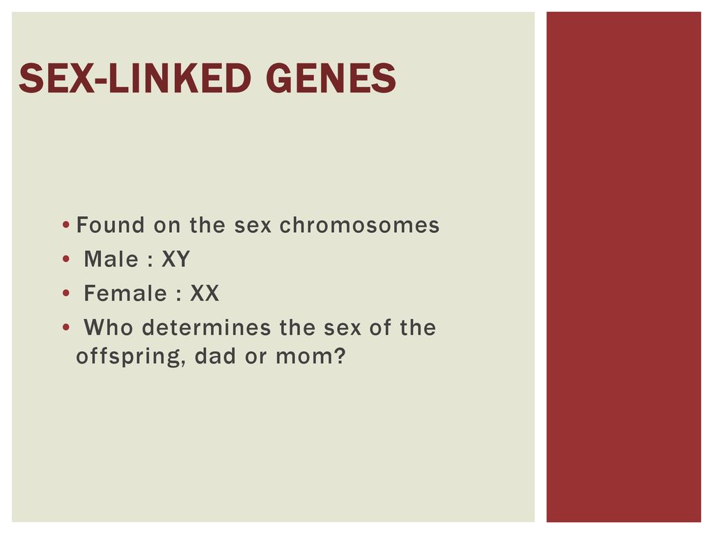 Sex Linked Traits Ppt Download