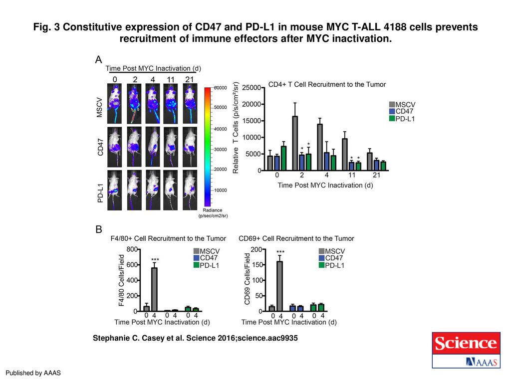 Myc Regulates The Antitumor Immune Response Through Cd47 And Pd L1