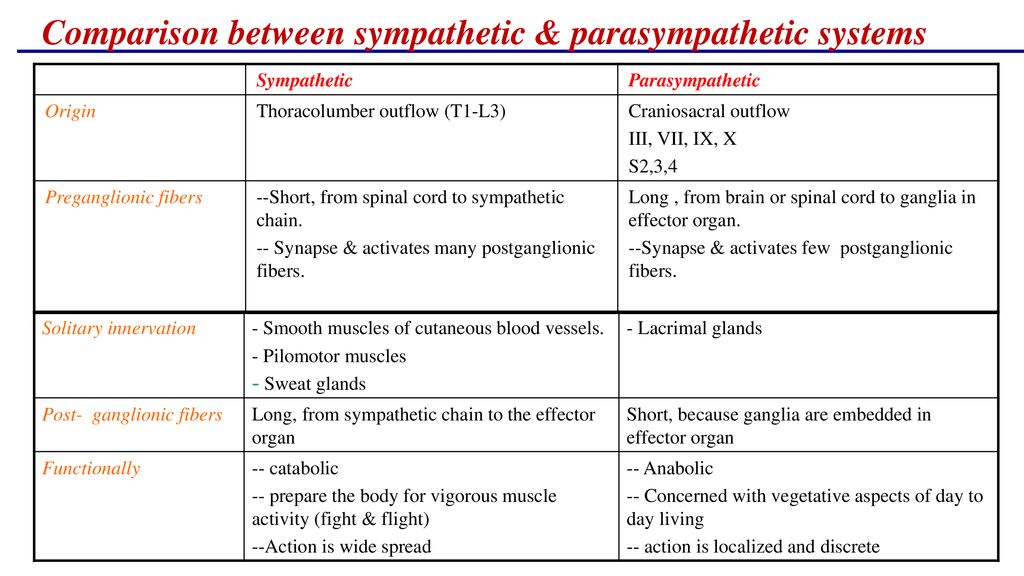 Parasympathetic And Sympathetic Nervous System Differences Parasympathetic And Sympathetic Nervous System Differences