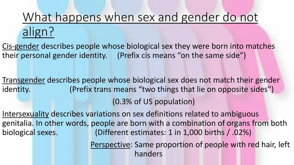 Opening Questions What Kinds Of Things Are Considered Masculine Ppt