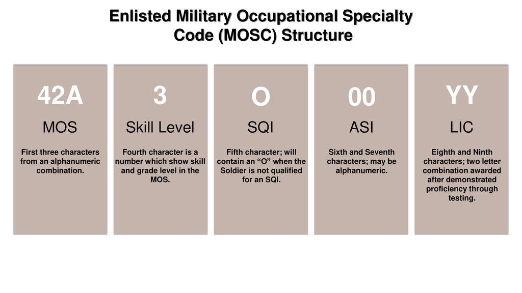 Manage Enlisted Distribution And Assignments Ppt Download