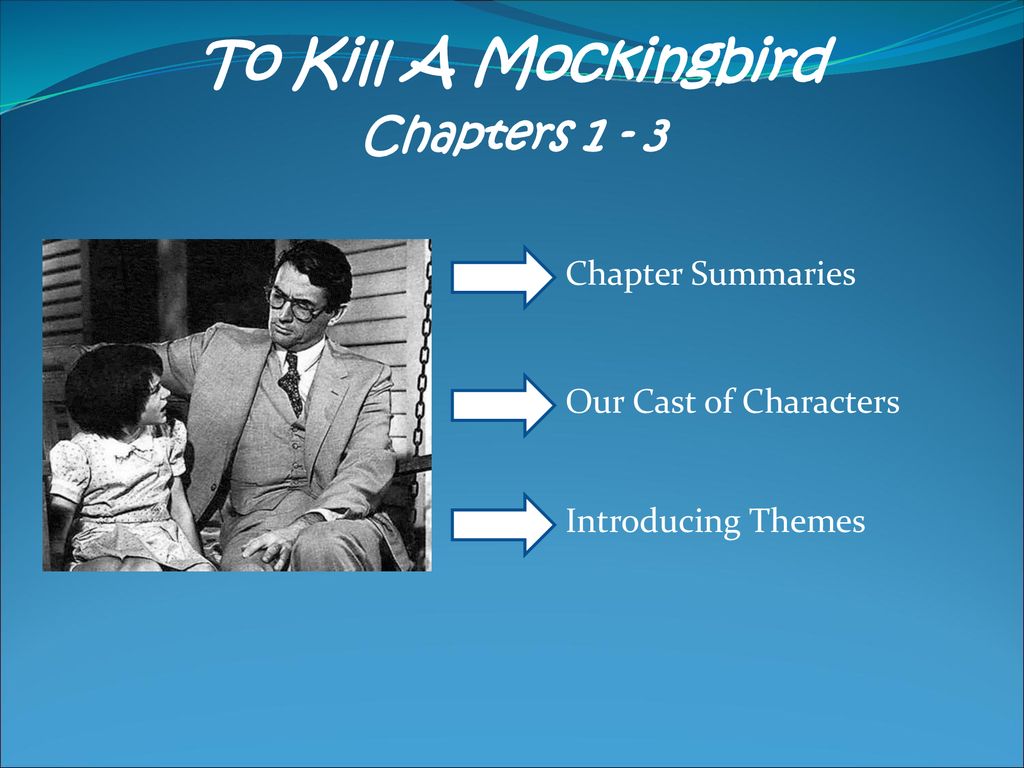 To Kill A Mockingbird Chapters Chapter Summaries Ppt Download