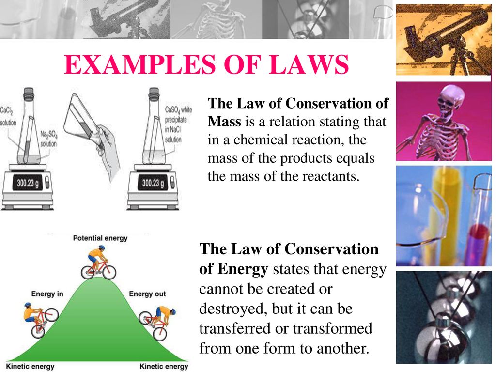 Hypotheses Models Theories And Laws Ppt Download