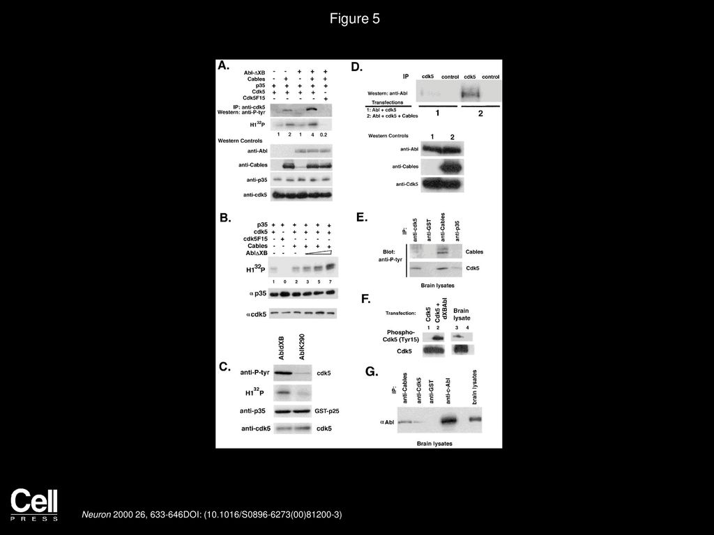 Volume 26 Issue 3 Pages June 2000 Ppt Download