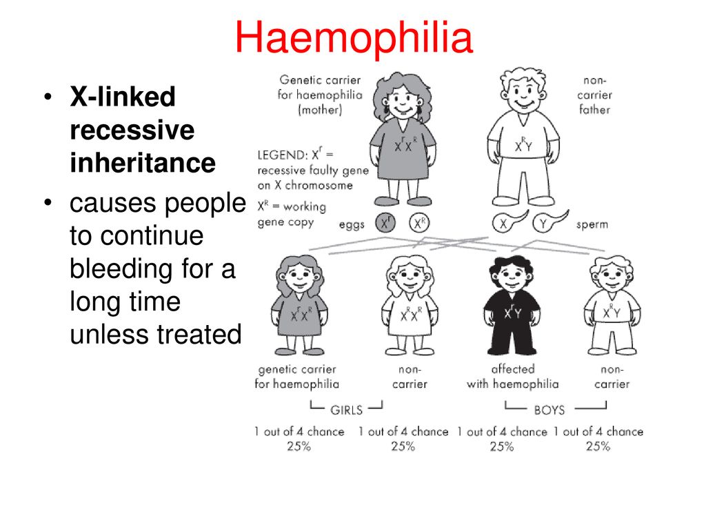 Sex Linked Inheritance Ppt Download