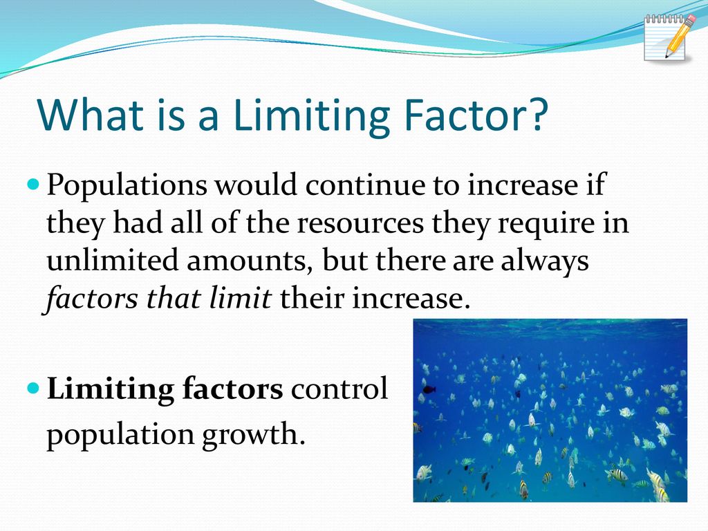 Limiting Factor Definition Limiting Factor Definition