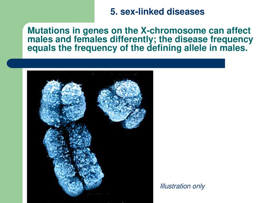Patterns Of Single Gene Inheritance Chapter 7 Genetics In Medicine