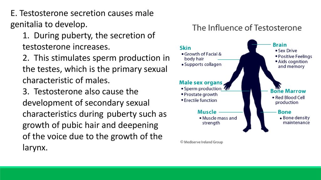 6 6 Part Ii And Reproduction Ppt Download