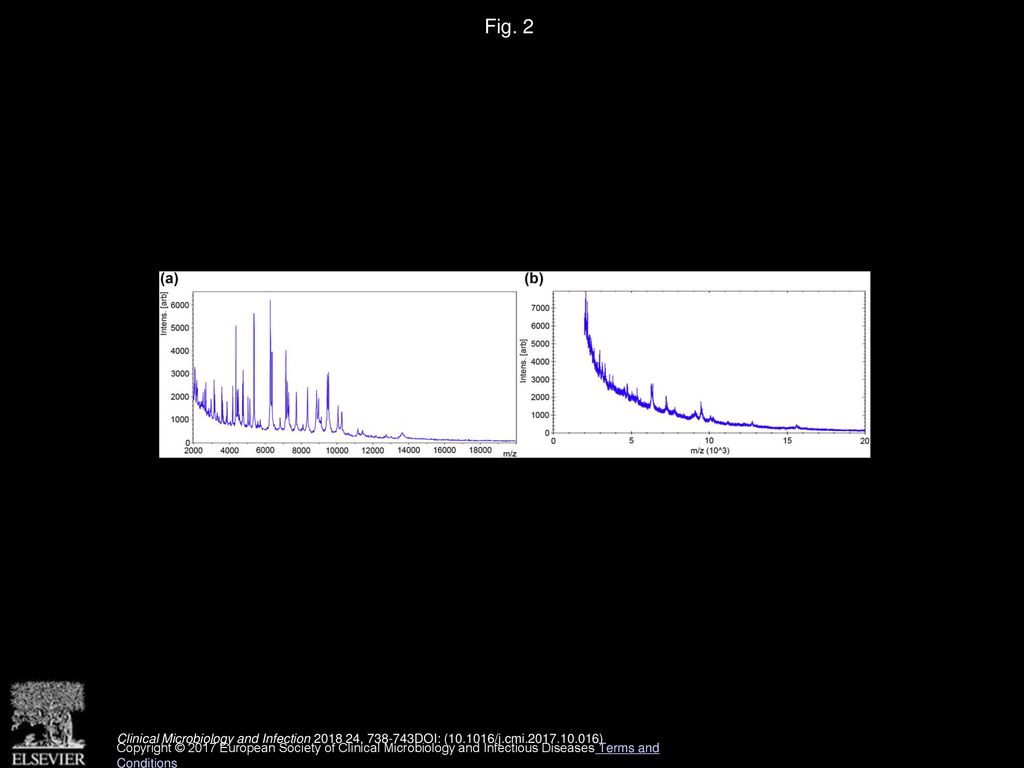 Rapid Detection Of Antibiotic Resistance By Maldi Tof Mass Spectrometry