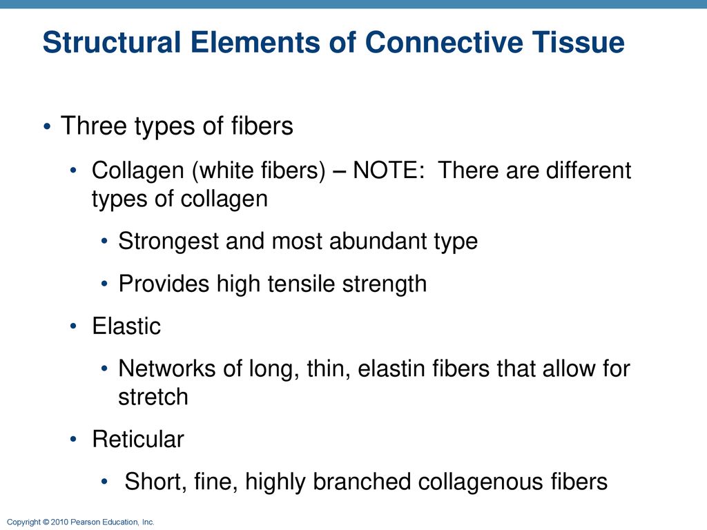 Histology Ii Mike Clark M D Ppt Download