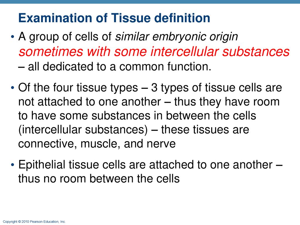 Histology Mike Clark M D Ppt Download