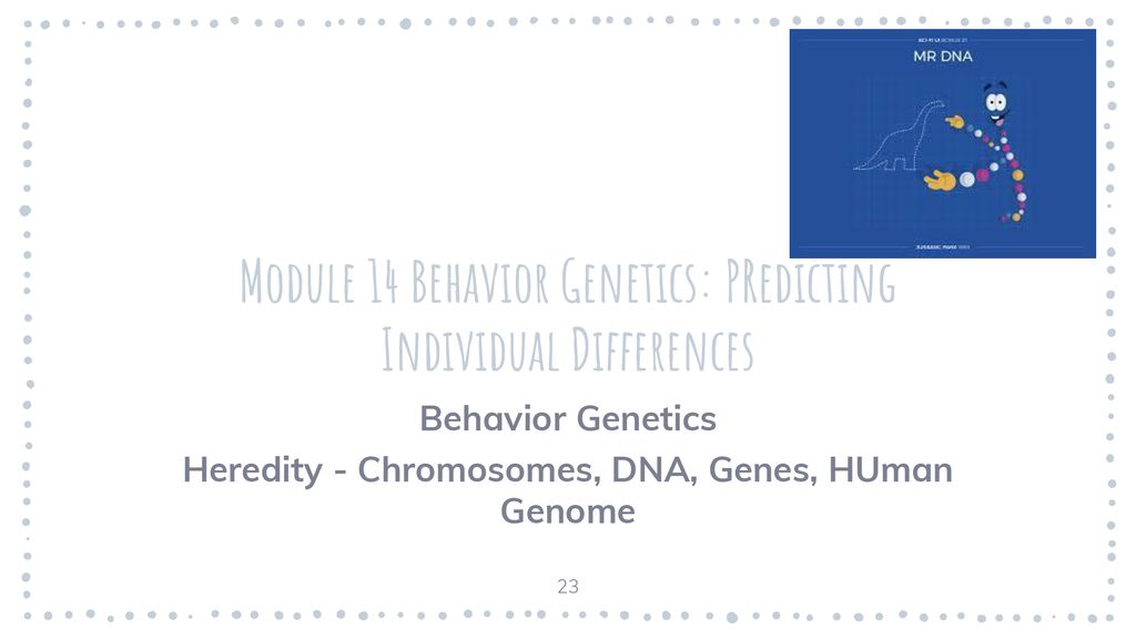 Unit 3 Biological Bases Of Behavior Ppt Download