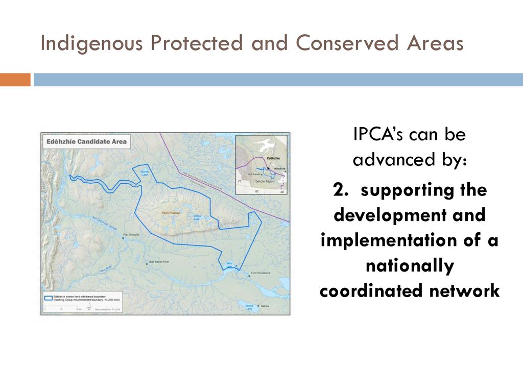 North American Congress For Conservation Biology July Ppt Download