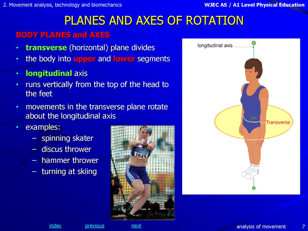 Longitudinal Axis Movement Longitudinal Axis Movement