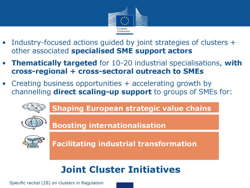 Dr Anna Sobczak Policy Officer For Clusters And Emerging Industries Ppt