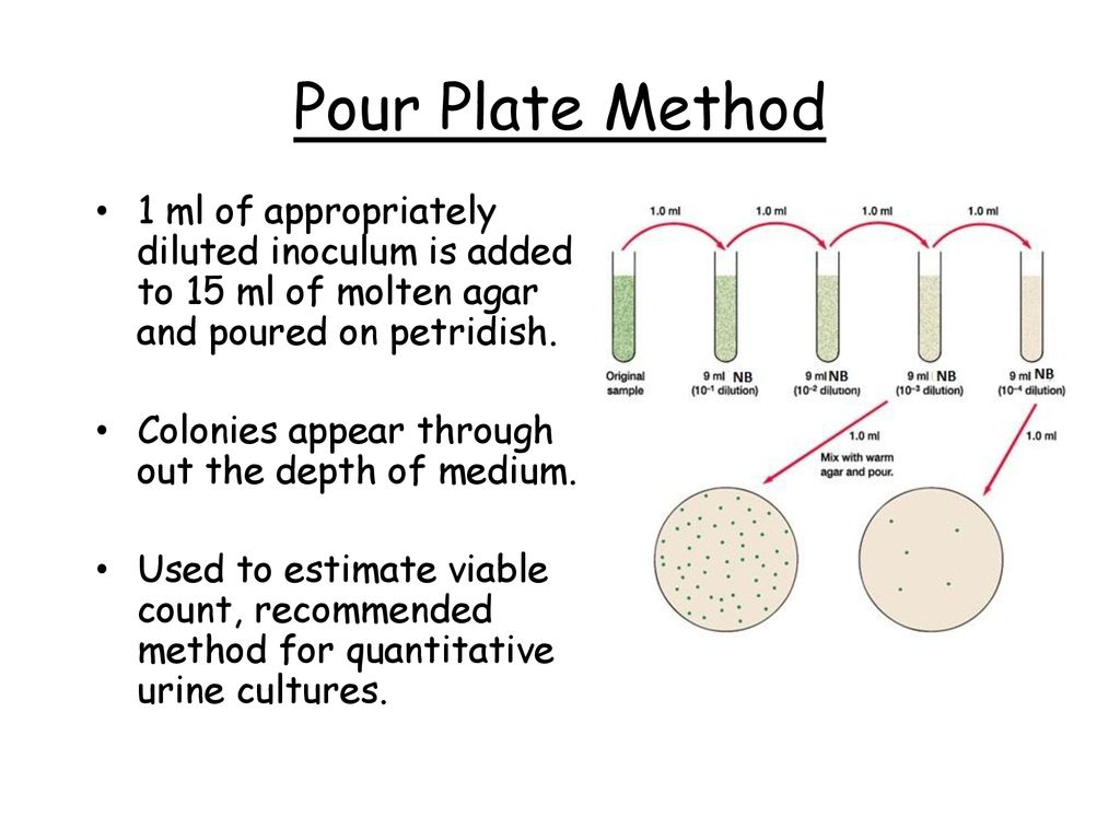 Pour Plate Method: Principle, Procedure, Uses, And (Dis), 50% OFF Pour Plate Method: Principle, Procedure, Uses, And (Dis), 50% OFF