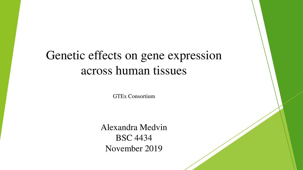 Alexandra Medvin Bsc 4434 November Ppt Download