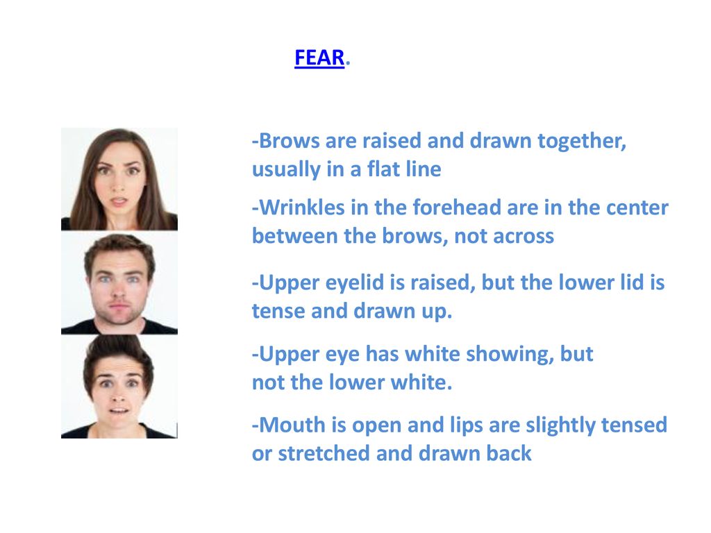 Fear Microexpression Fear Microexpression