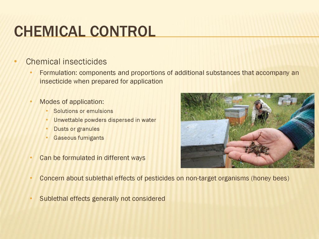 Entomology 101 Pest Management Ppt Download