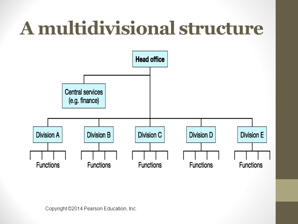 Multidivisional Organizational Structure Multidivisional Organizational Structure
