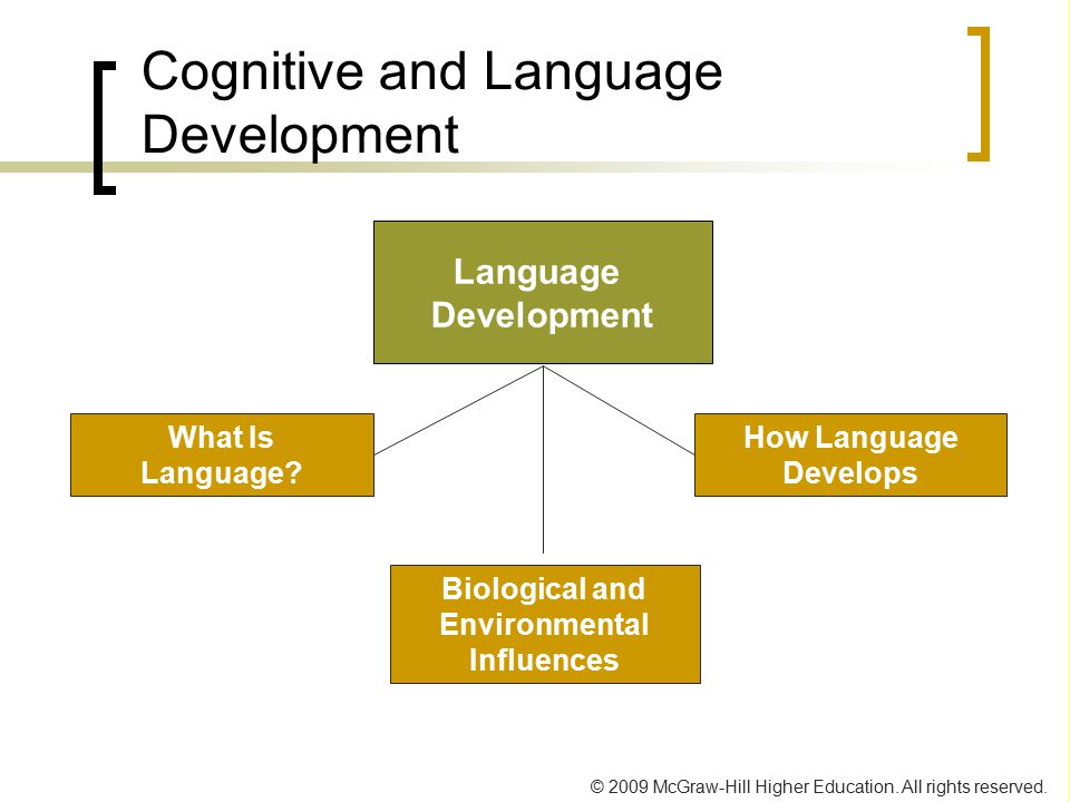 Cognitive Development And Language | atelier-yuwa.ciao.jp Cognitive Development And Language | atelier-yuwa.ciao.jp