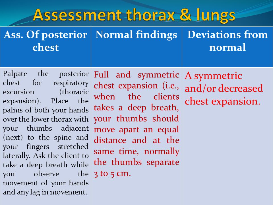 Assessment Of Thorax And Lungs Assessment Of Chest An - vrogue.co Assessment Of Thorax And Lungs Assessment Of Chest An - vrogue.co