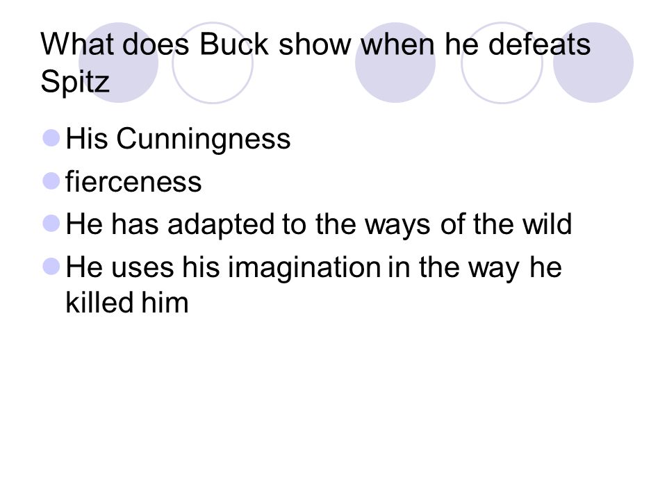 Why Does Buck Hate Spitz Why Does Buck Hate Spitz