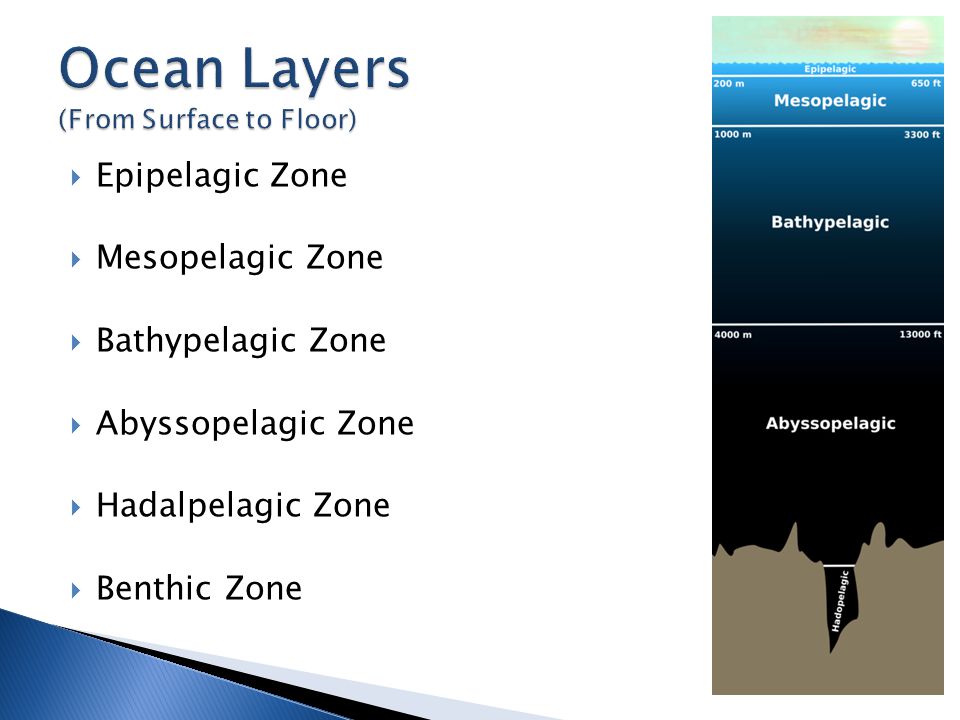 Hydrosphere Layers