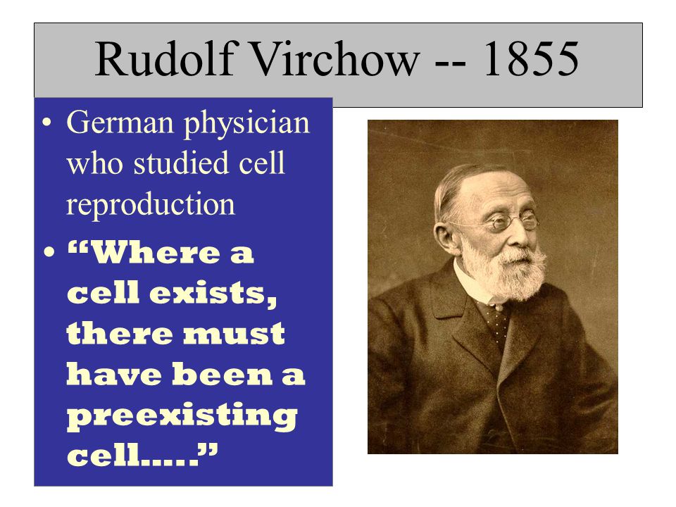 Rudolf Virchow Cell Theory