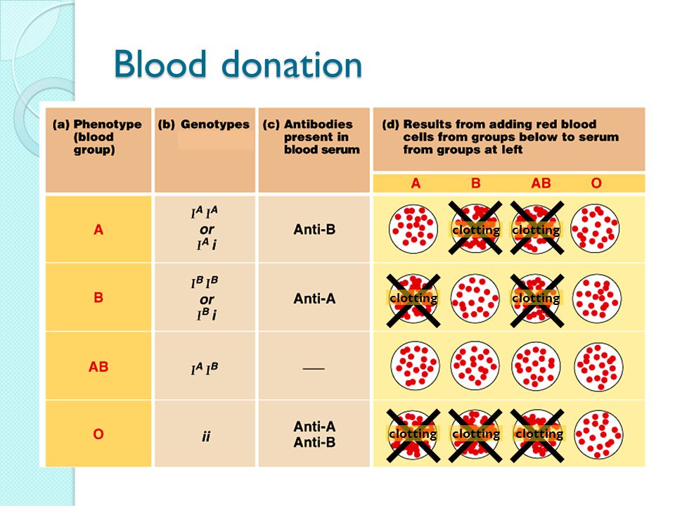 Genotype Definition Types Functions Examples And Faqs 55 Off