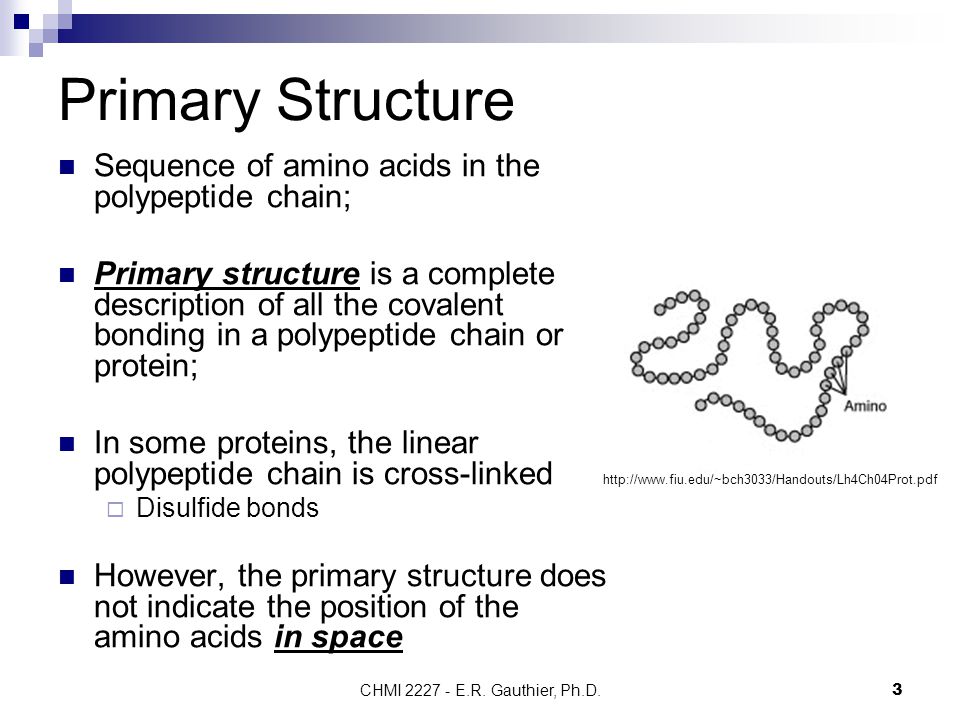 Structure Of Protein Pdf | atelier-yuwa.ciao.jp Structure Of Protein Pdf | atelier-yuwa.ciao.jp