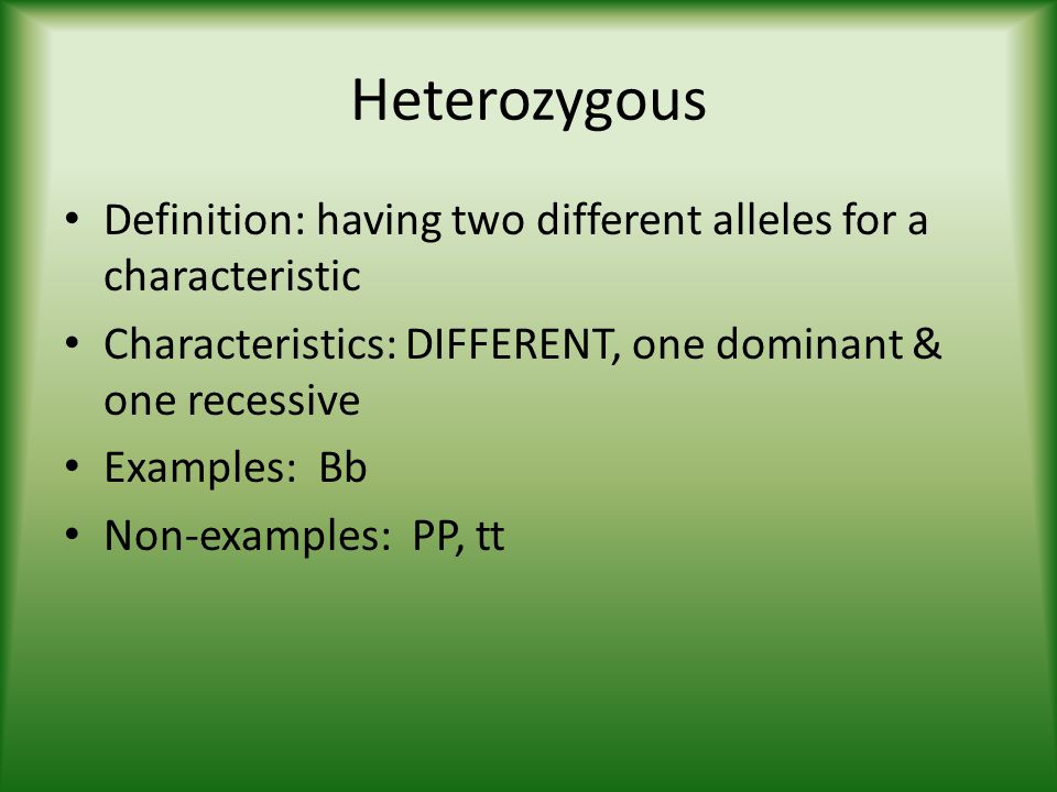 Heterozygous Definition