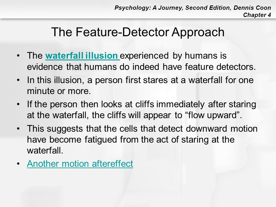 Feature Detectors Psychology