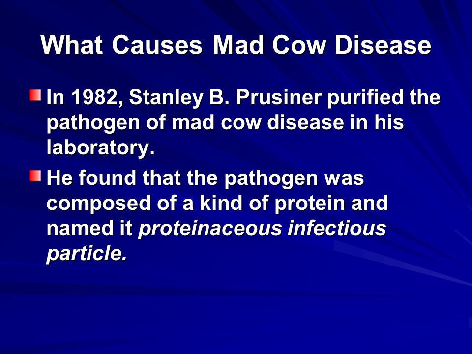 Ppt Bovine Sponorm Encephalopathy “mad Cow Disease” 44 Off