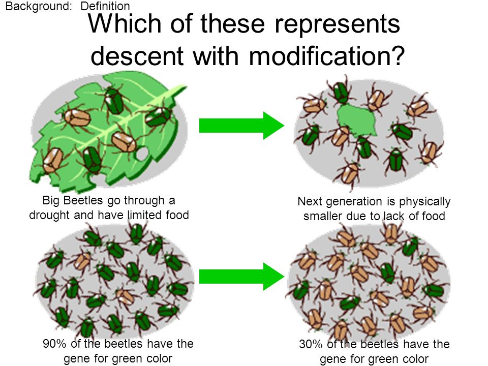 Descent With Modification Definition Descent With Modification Definition