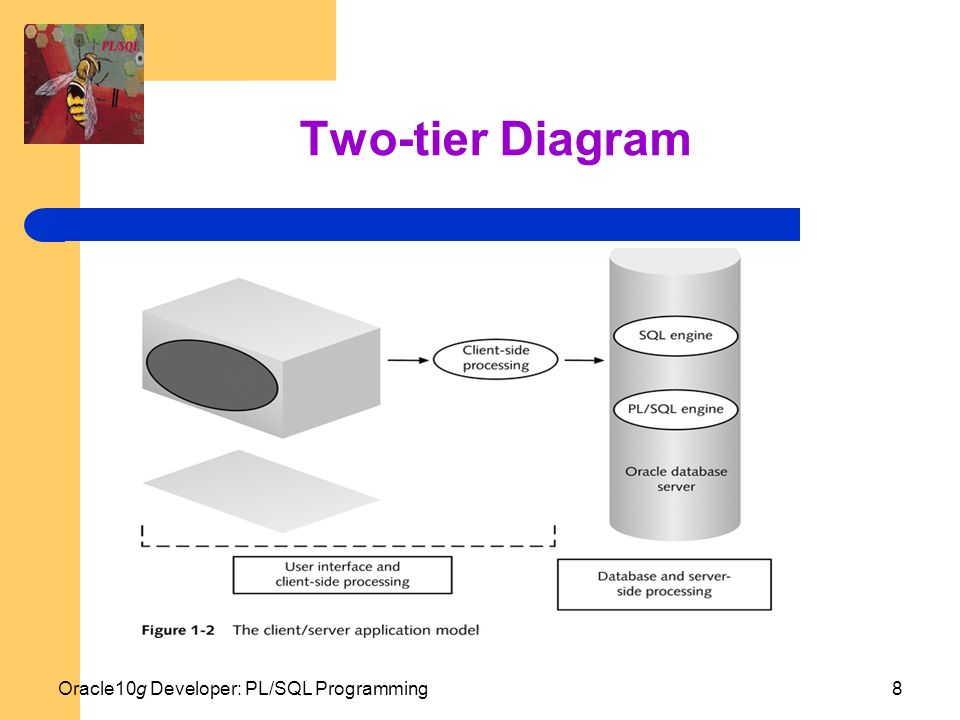 Objectives PL/SQL And Application Programming Application Models - ppt ... Objectives PL/SQL And Application Programming Application Models - ppt ...