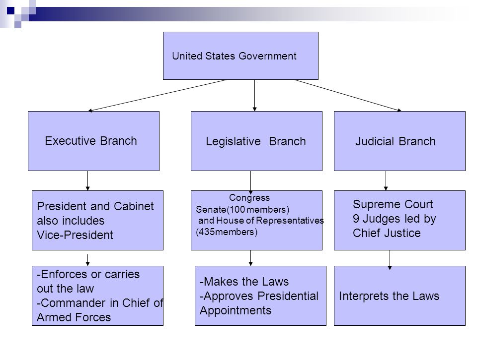 Three Branches Of Government Flow Chart