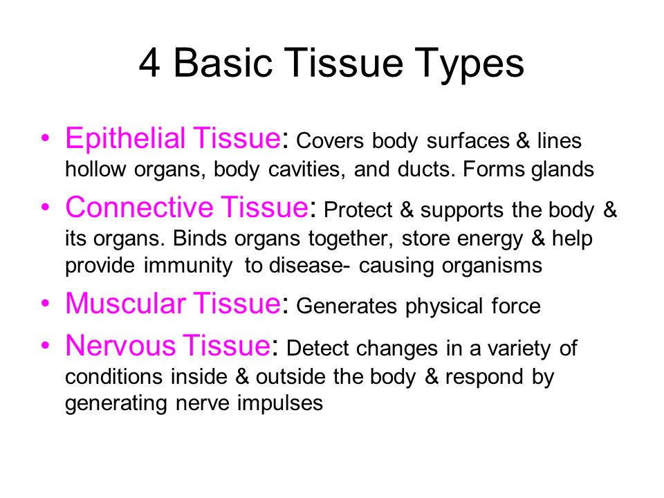 Nervous Tissue Definition Nervous Tissue Definition