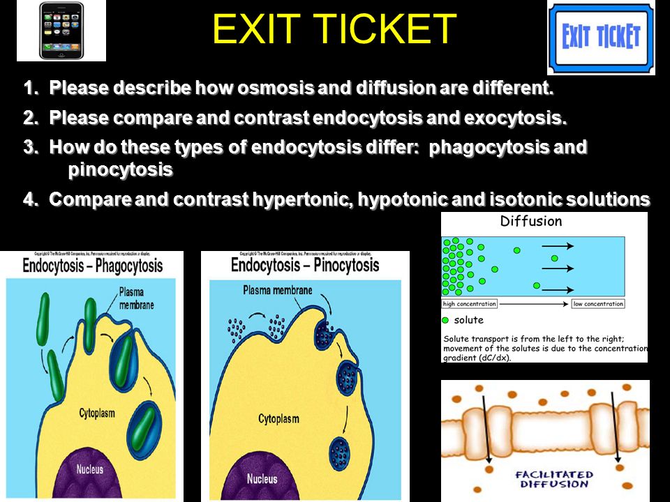 Endocytosis And Exocytosis Compare And Contrast