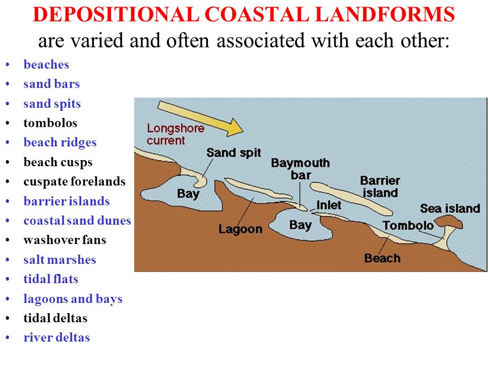 Types Of Coastal Depositional Landforms Design Talk - vrogue.co Types Of Coastal Depositional Landforms Design Talk - vrogue.co