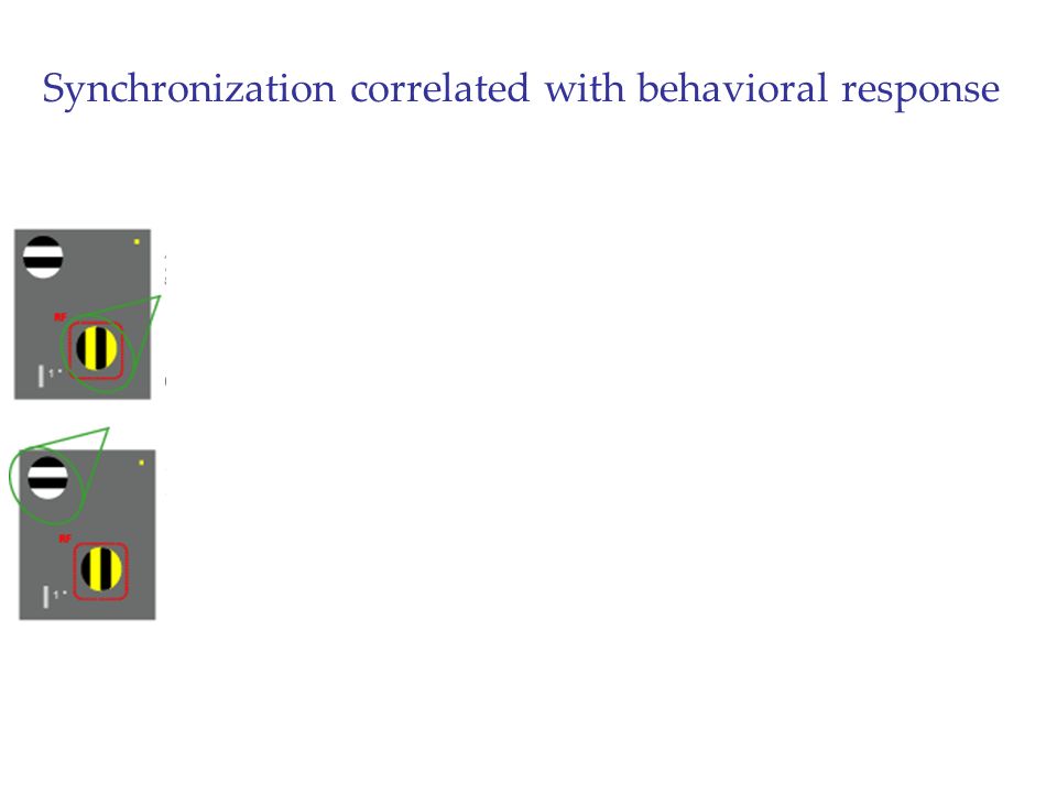 Layer Specific Attentional Modulation In Early Visual Areas Ppt Video