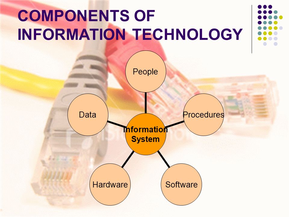 Components of Information System - JessiekruwRusso Components of Information System - JessiekruwRusso