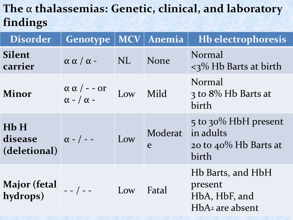 Anemia Part Thalassemia α Thalassemia And 55 Off